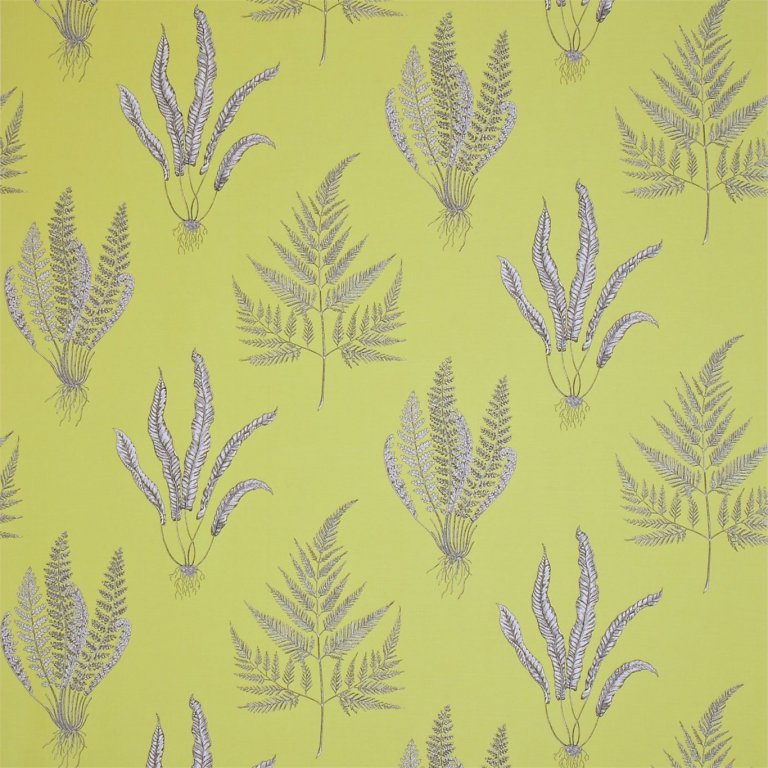 Woodland Ferns by Sanderson Fabrics | Store — FABRIC STUDIO STORE