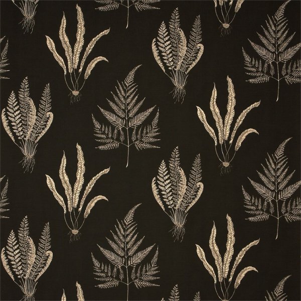 Woodland Ferns by Sanderson Fabrics | Store — FABRIC STUDIO STORE